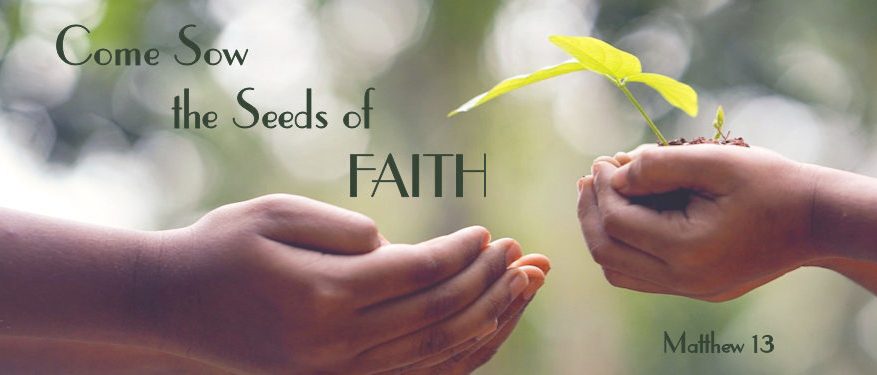 Faith Formation Classes – St. Cecelia